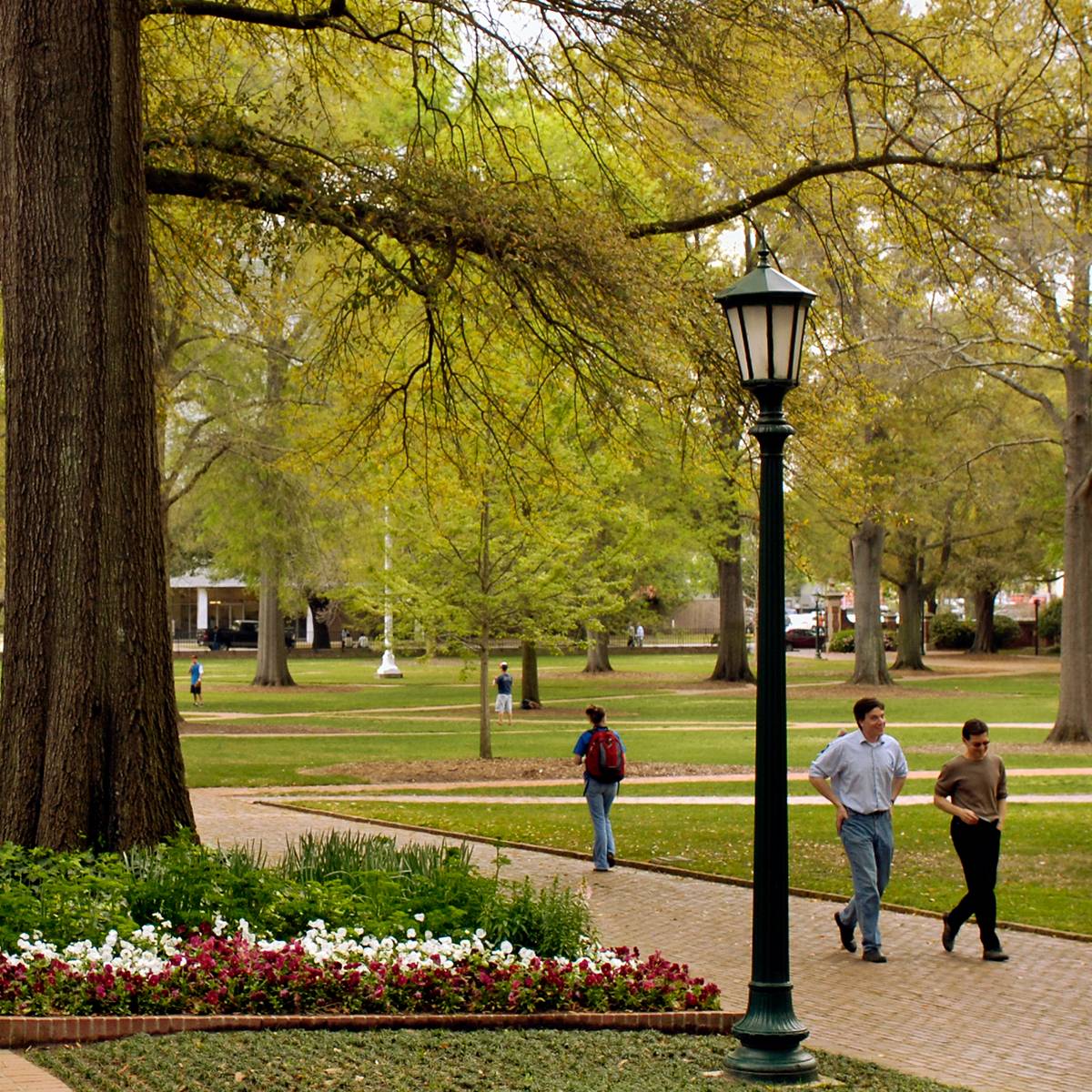 usc walking study